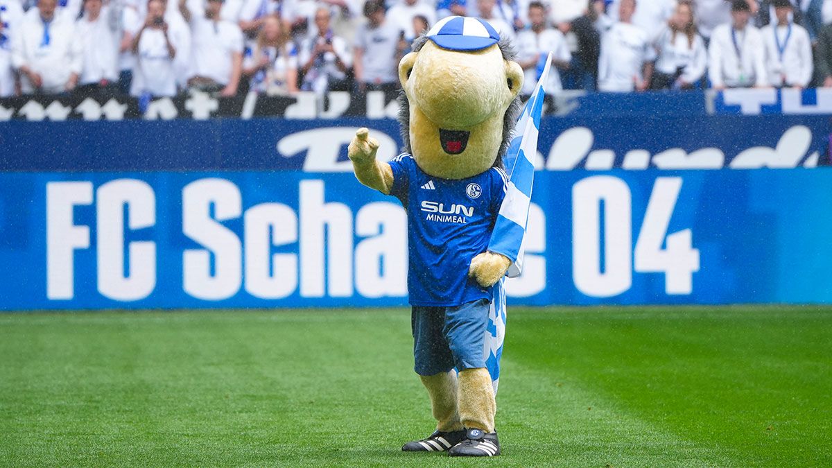 Wer zeigt / überträgt FC Schalke 04 vs. Twente Enschede heute im Live Stream und live im TV ...