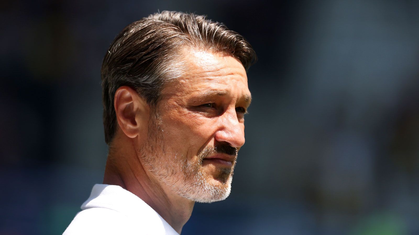 Holt der BVB einen neuen Trainer? Wichtiger Posten ist bei Borussia ...
