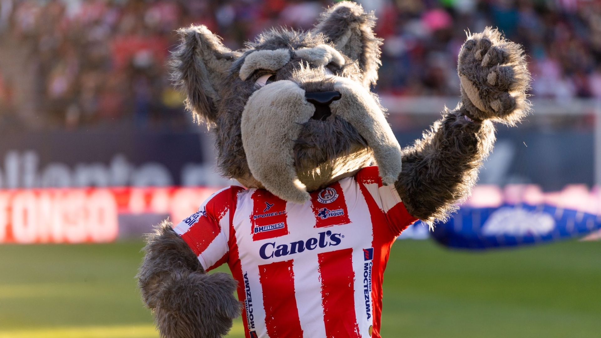 Mascota Del Equipo De Futbol Chivas