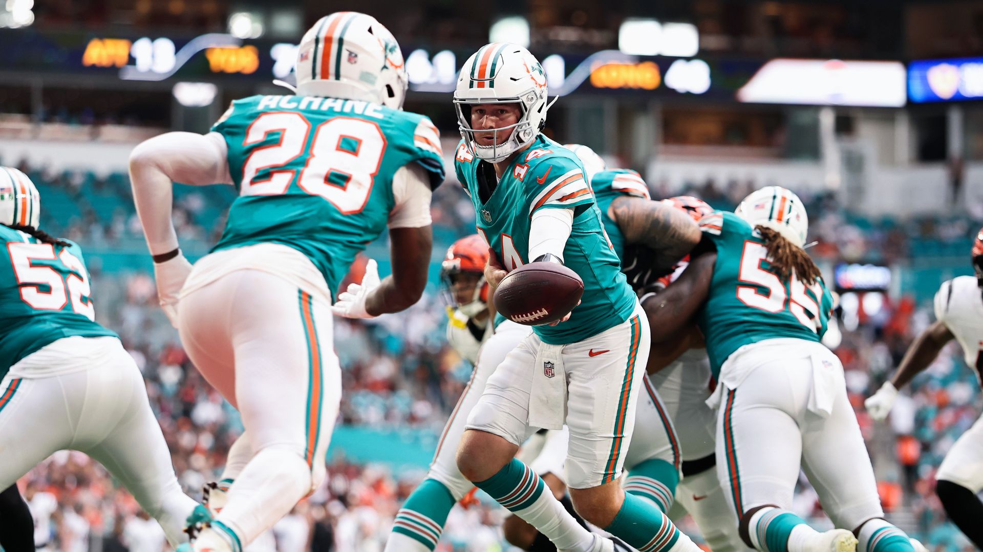 Complete guide to see Miami Dolphins for fans: Game-day travel on a ...