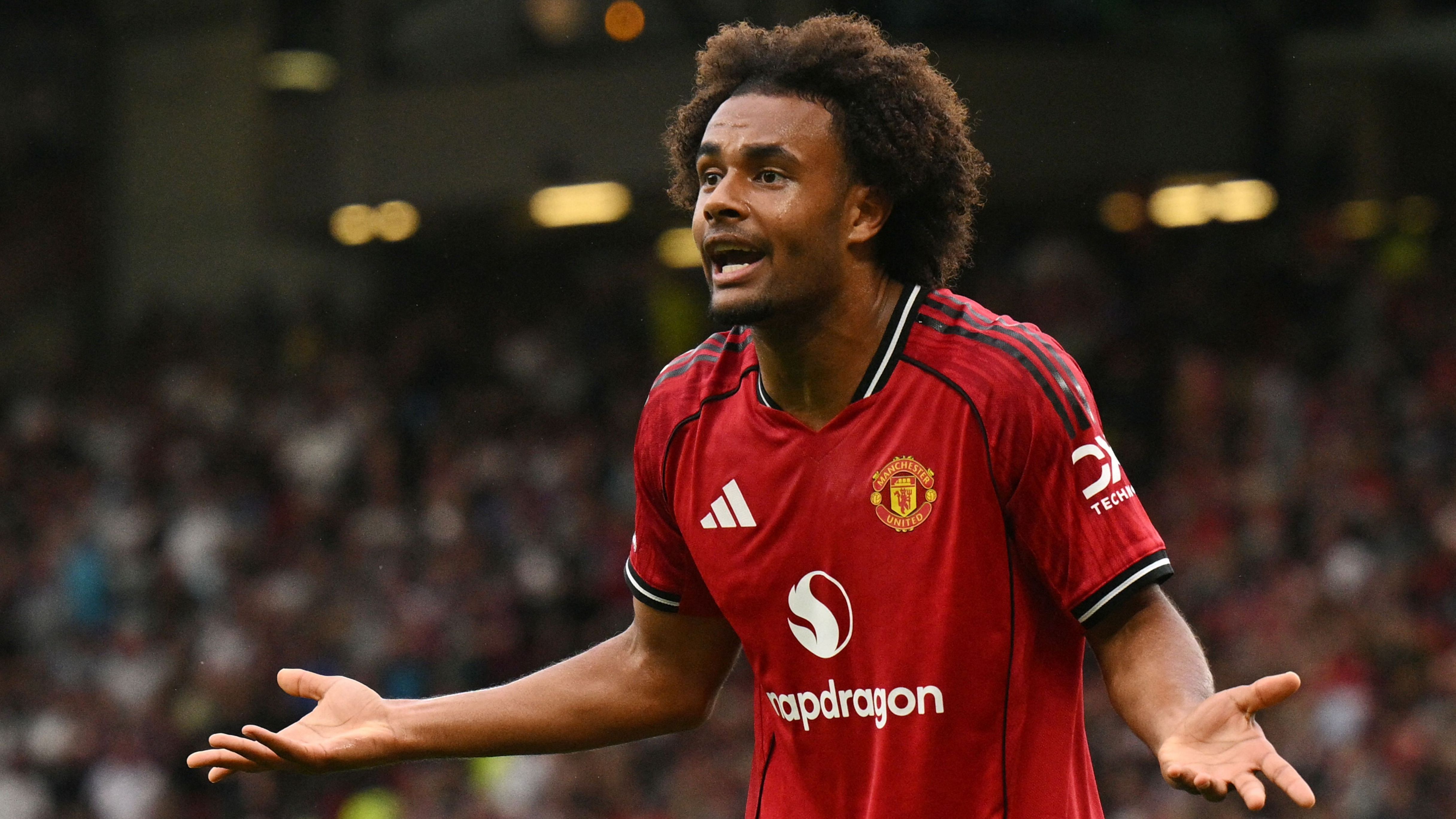 Joshua Zirkzee in line for Serie A return as title contenders add struggling Man Utd striker to ...